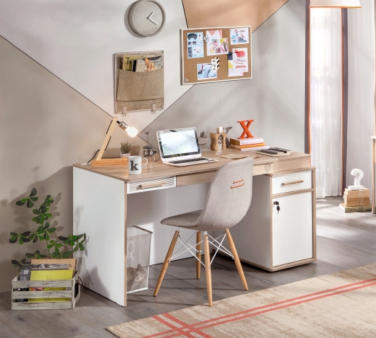 Dynamic Study Desk | Forest Mobl